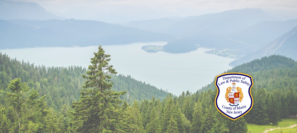 CSI Technology Group | Resources